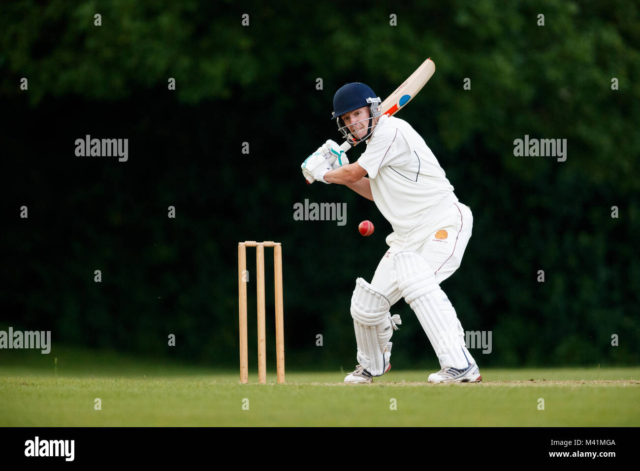 Cricket batsman in action Stock Photo - Alamy