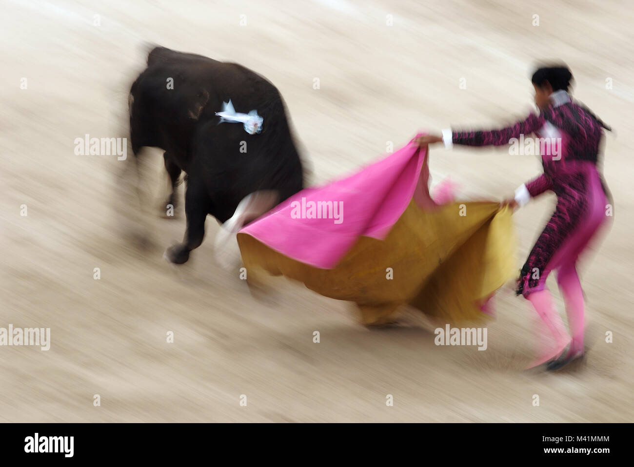 Mexico, Yucatan State, Merida, bullfight Stock Photo - Alamy
