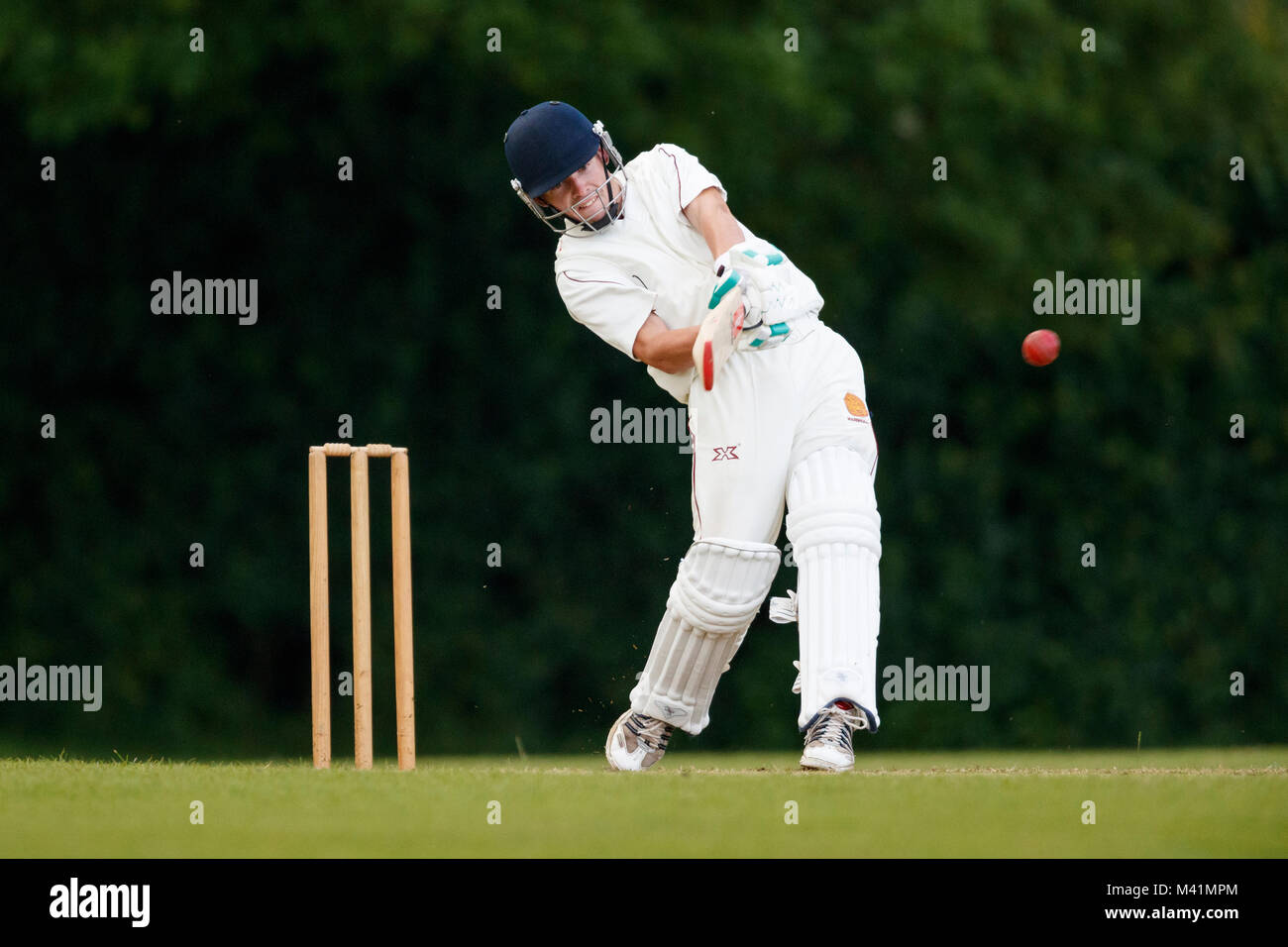 Cricket batsman in action Stock Photo - Alamy