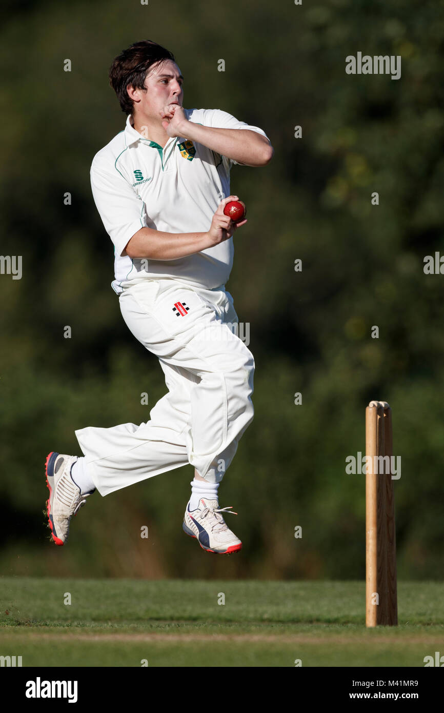 Cricket, bowler in action Stock Photo - Alamy