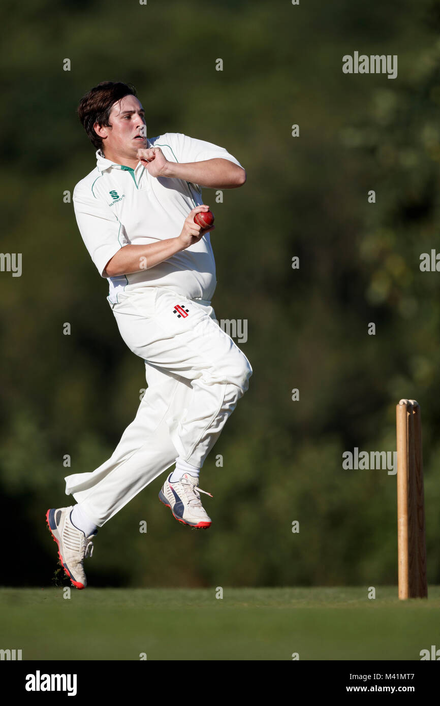 Cricket, bowler in action Stock Photo - Alamy