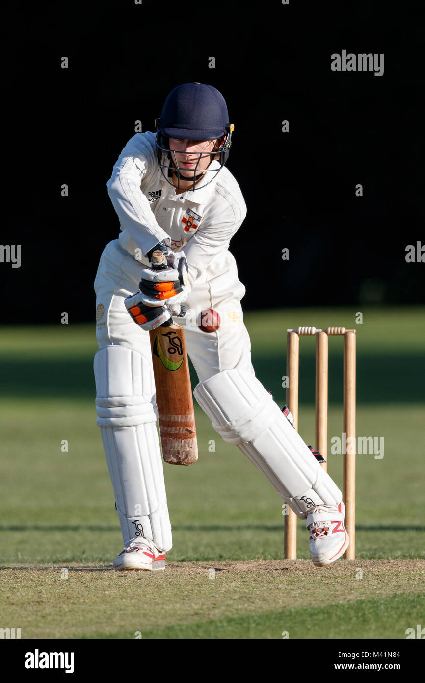 Cricket batsman in action Stock Photo - Alamy