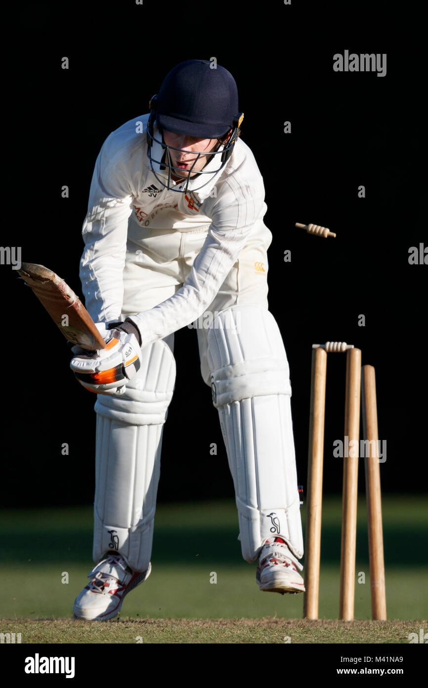 Cricket batsman out hi-res stock photography and images - Alamy
