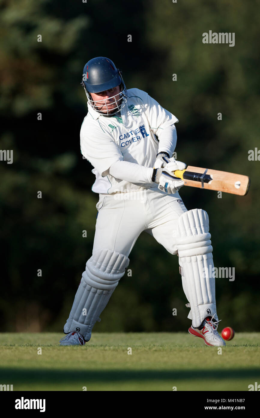 Cricket batsman in action Stock Photo - Alamy