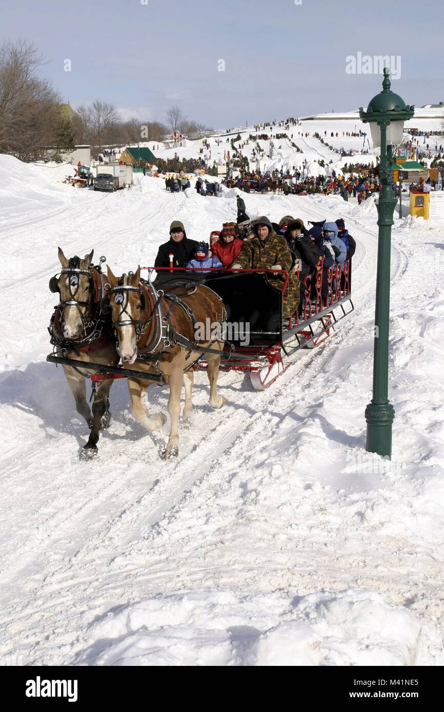 Horse sledding canada hi-res stock photography and images - Alamy