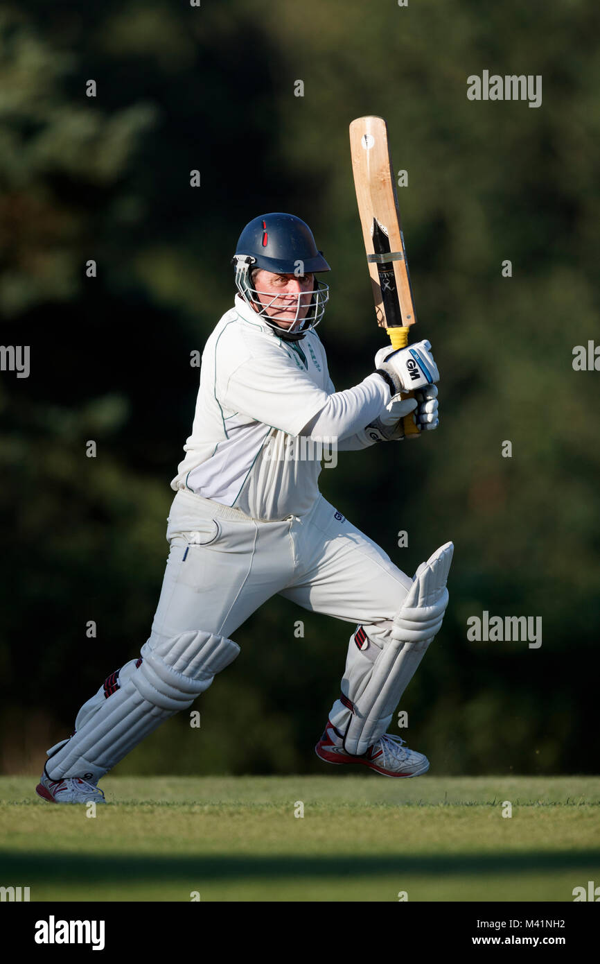 Cricket batsman in action Stock Photo - Alamy