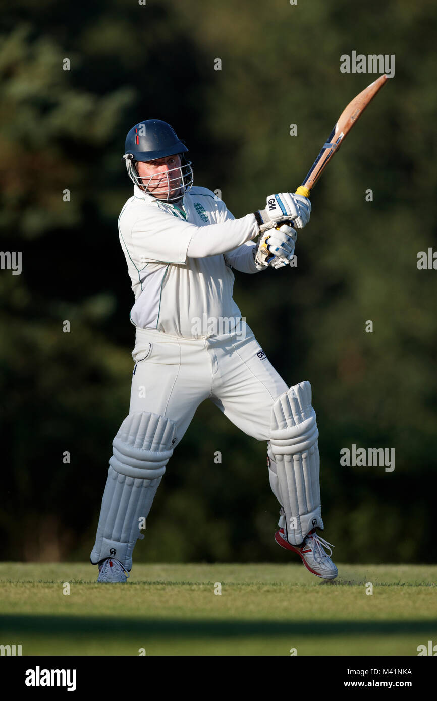 Cricket batsman in action Stock Photo - Alamy