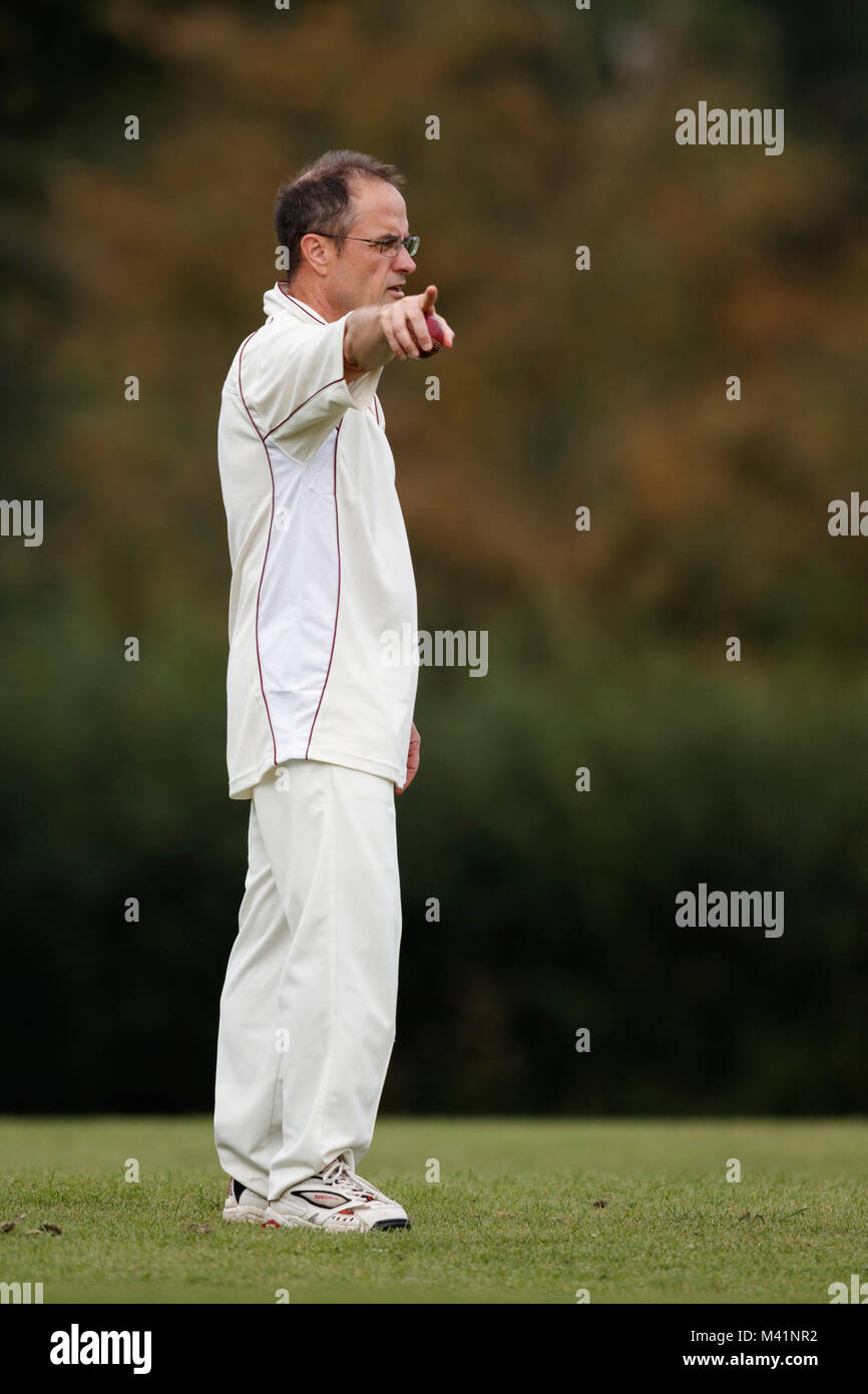 Organising fielders hi-res stock photography and images - Alamy