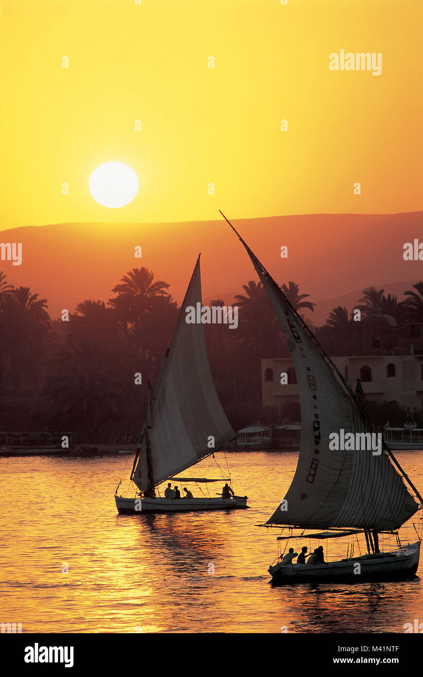 Egypt, Luxor, feluccas on the Nile by sunset Stock Photo - Alamy