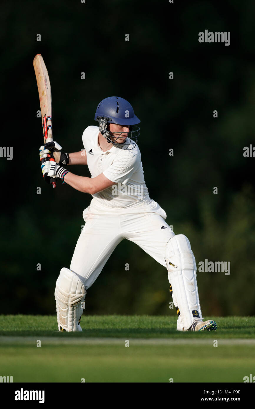 Cricket batsman in action Stock Photo - Alamy