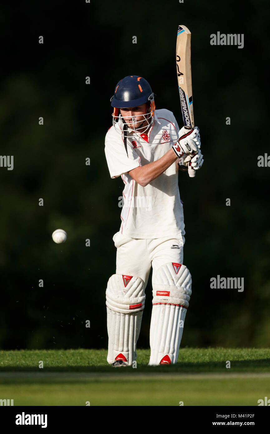 Black batsman hi-res stock photography and images - Alamy