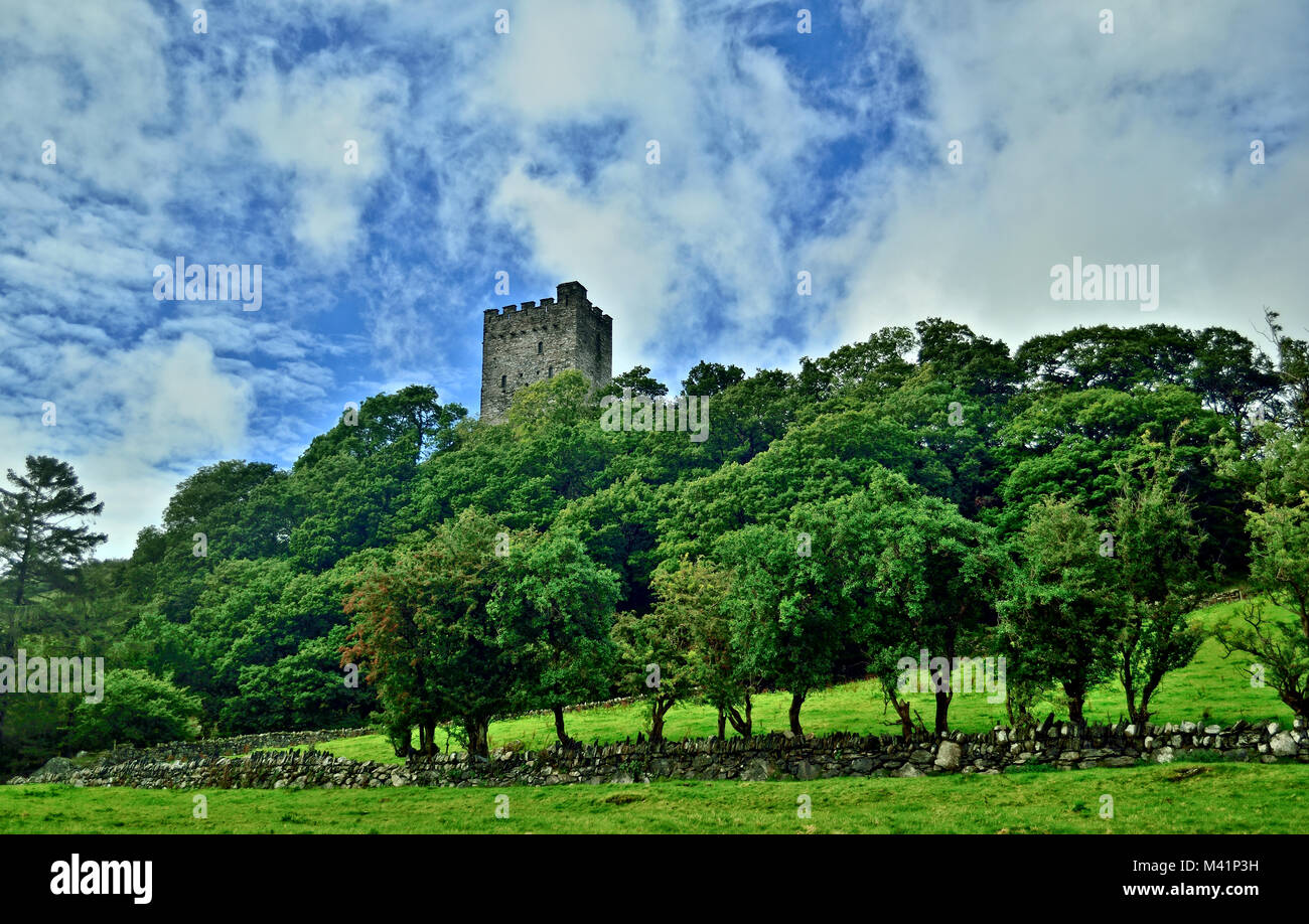 Trees to castle hi-res stock photography and images - Alamy