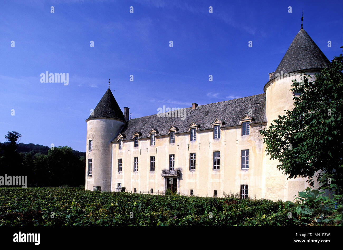 France, Côte d'Or, Savigny Les Beaune castle Stock Photo - Alamy