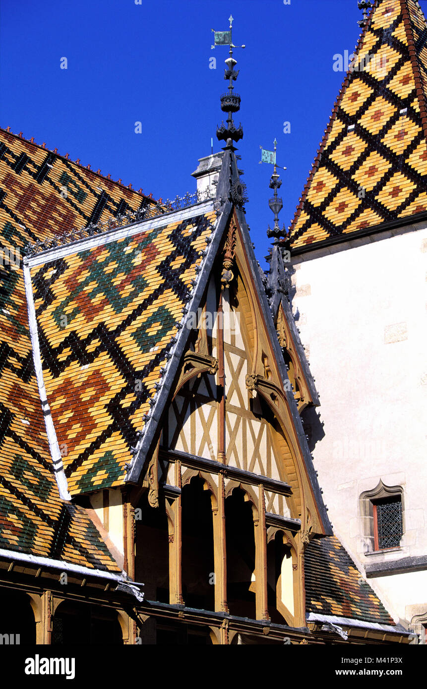 France, Cote d'Or, Cultural landscape of Burgundy climates listed as ...
