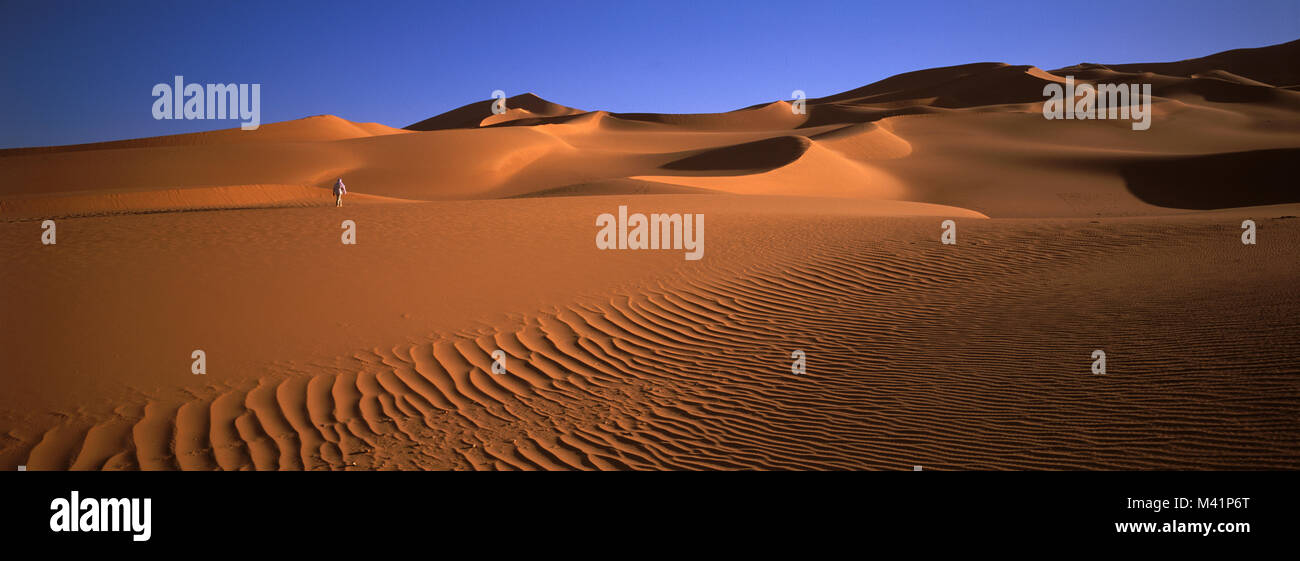 Niger, Sahara, Tenere desert, the sand dunes of Arakao (Crab Claw Stock ...