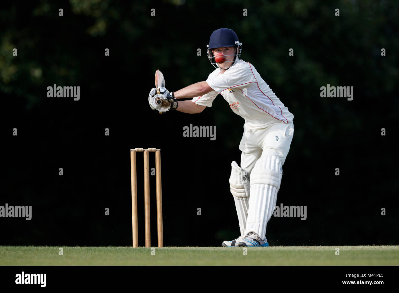 Cricket batsman in action Stock Photo - Alamy