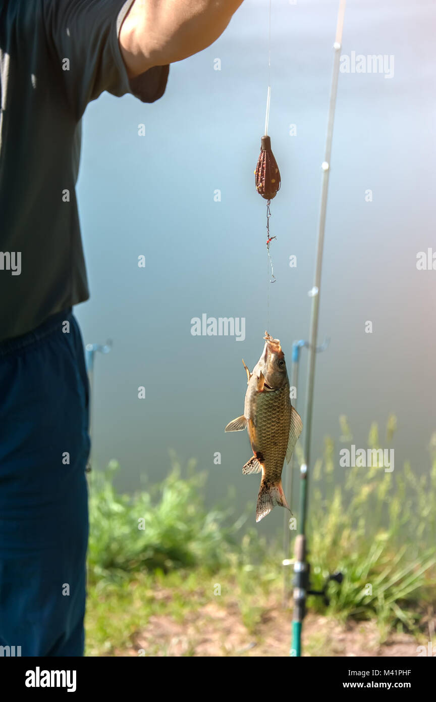 Extraction of the hook from the mouth of the fish by forceps on a Sunny ...