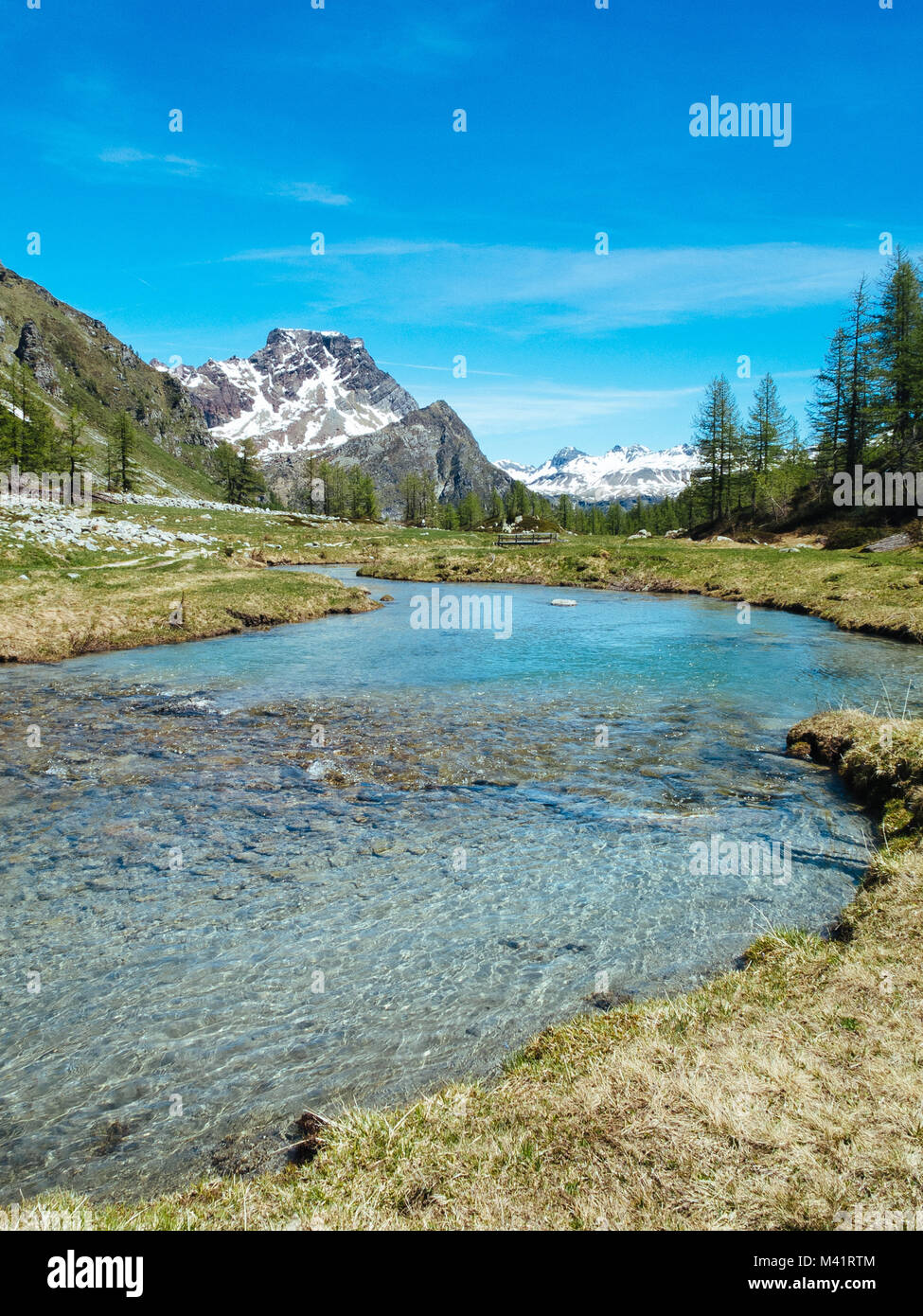 alpine river stream flowing among alpine meadows of the devero alp on a ...
