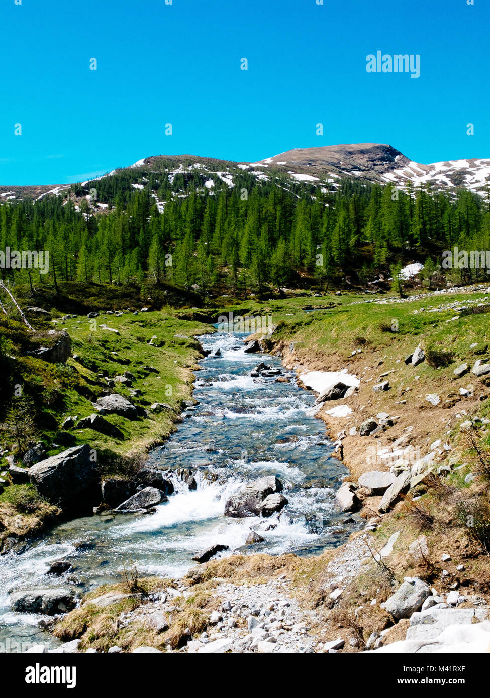 alpine river stream flowing among alpine meadows of the devero alp on a ...