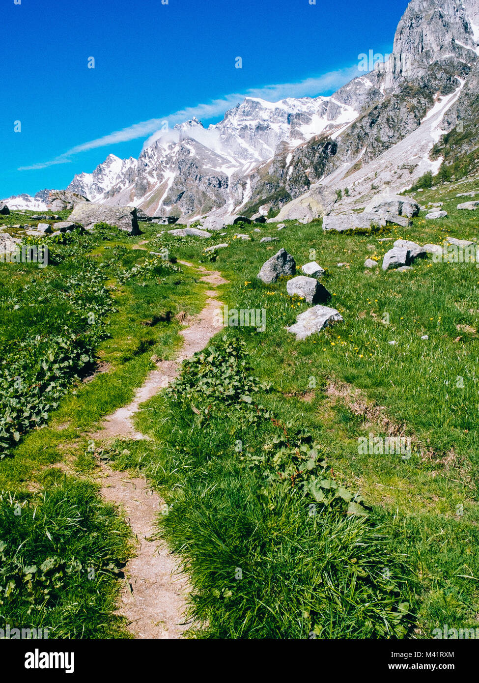 path that winds through the alpine meadows of the Devero Alp in a sunny ...