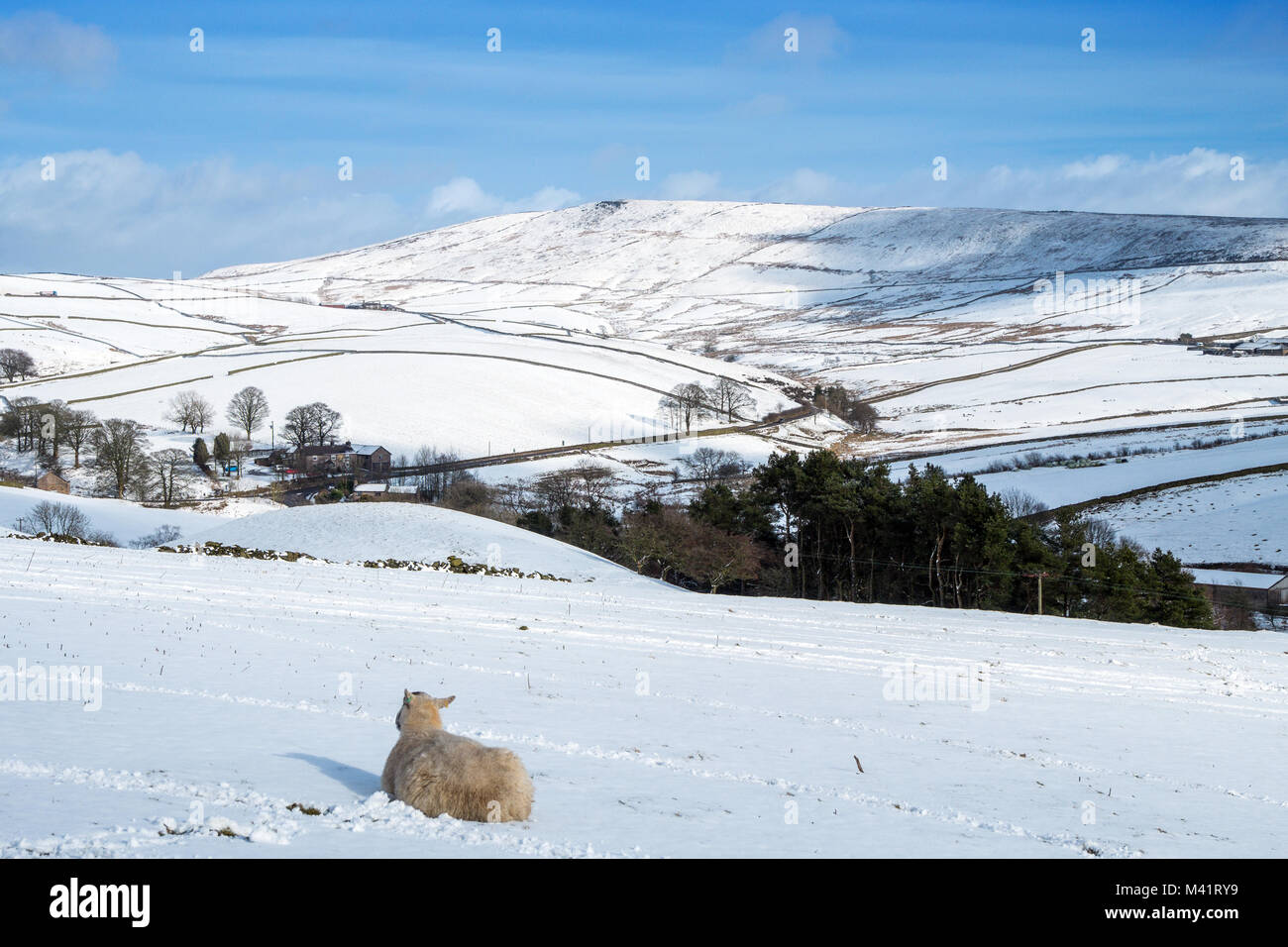 Shining Tor, winter, Peak District National Park,UK Stock Photo - Alamy