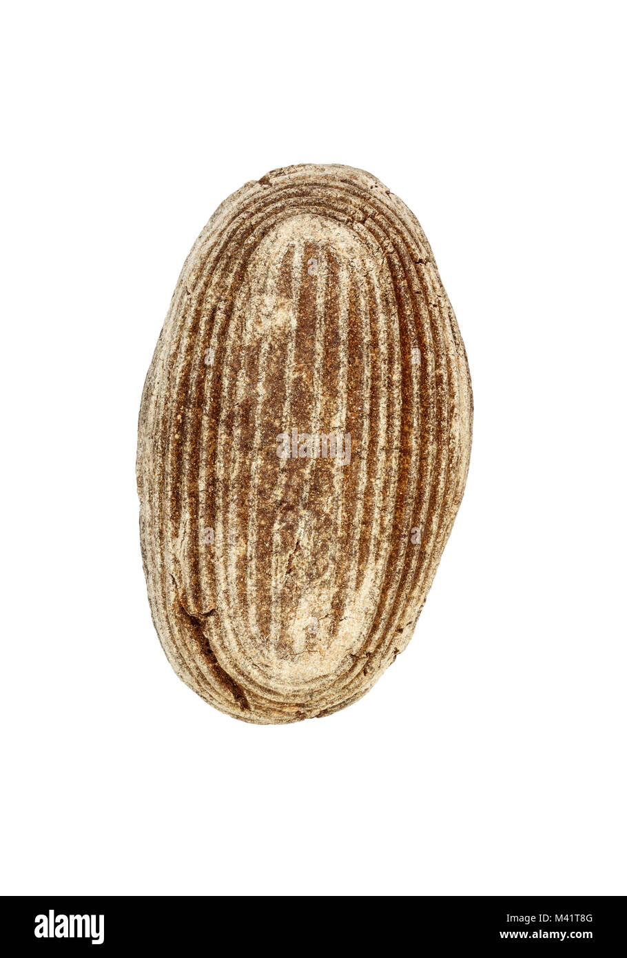 Black rye bread. Isolated on a white background. top view Stock Photo ...