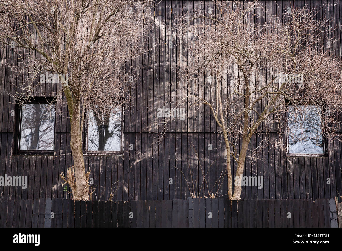 Europe, Germany, North Rhine-Westphalia, Cologne, trees in front of a ...