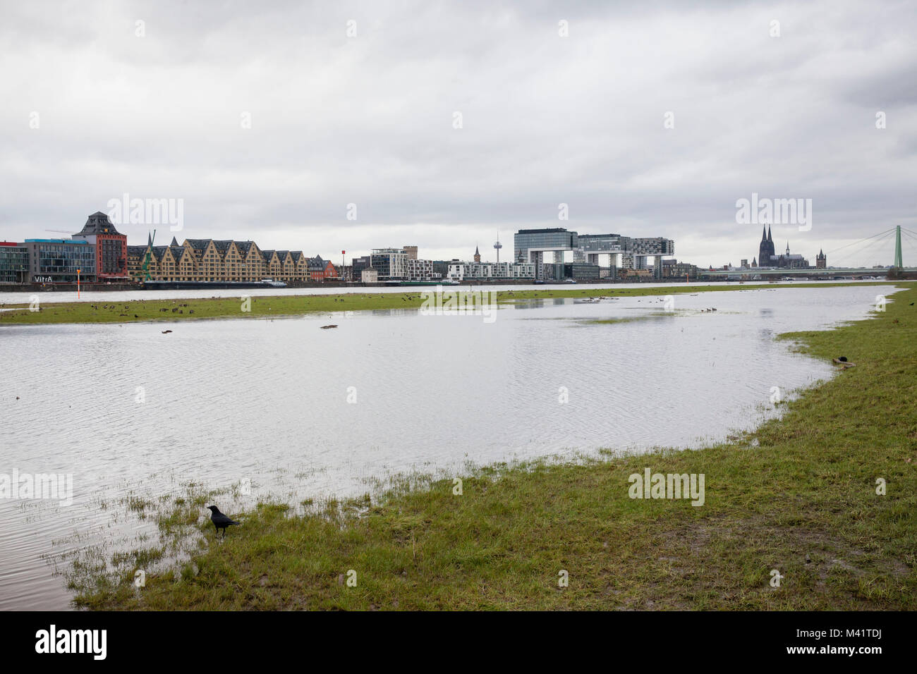 Europe, Germany, Cologne, flood of the river Rhine, view from the ...