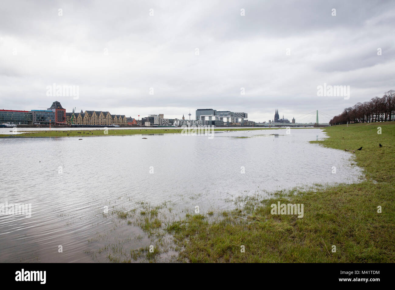 Europe, Germany, Cologne, flood of the river Rhine, view from the ...
