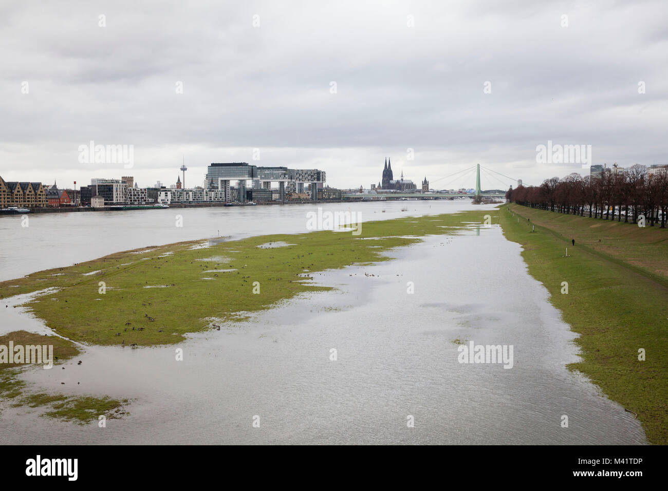 Europe, Germany, Cologne, flood of the river Rhine, view from the ...