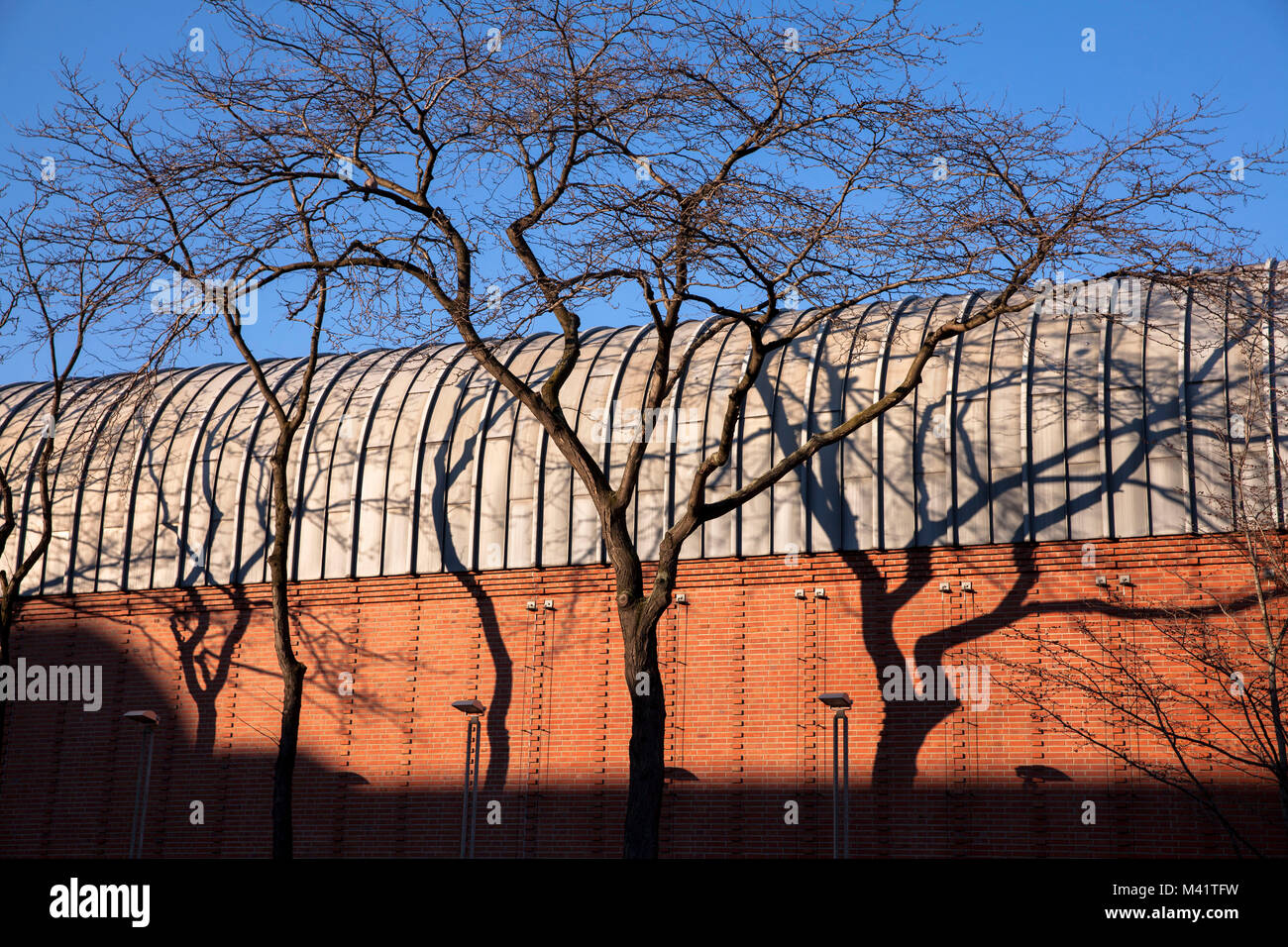 Europe, Germany, Cologne, trees in front of the Museum Ludwig. Europa ...