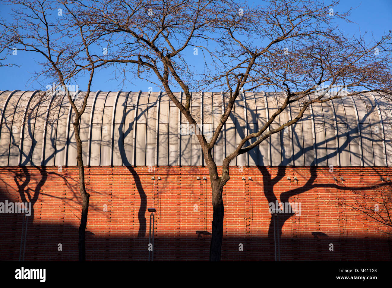 Europe, Germany, Cologne, trees in front of the Museum Ludwig. Europa ...