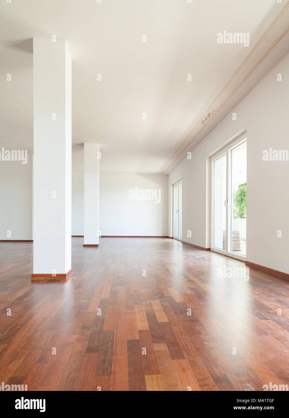 interior apartment, large living room with columns Stock Photo - Alamy