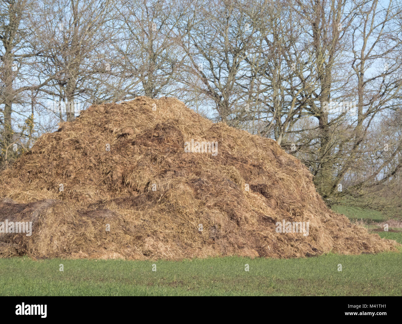 Manure piles hi-res stock photography and images - Alamy