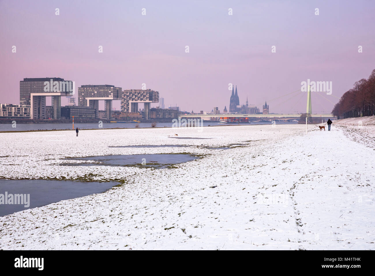 Europe, Germany, Cologne, view from the snowy Rhine meadows in the ...