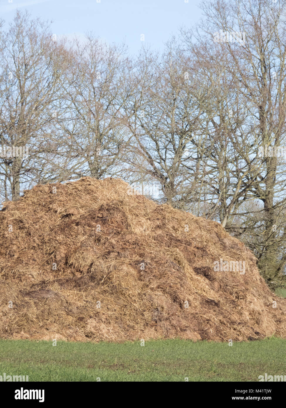 Animal manure hi-res stock photography and images - Alamy