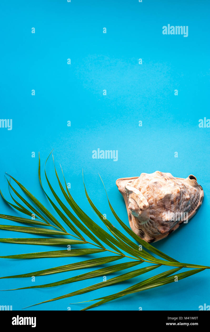 tropical holiday concept: big tropical shell with a palm tree leaf on a ...