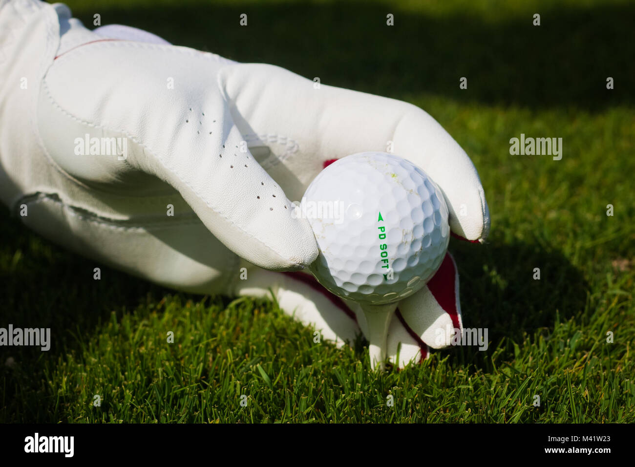 Hand hold golf ball with tee on course, close up Stock Photo - Alamy