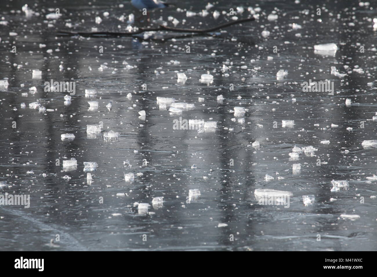 ice cover on an icebound lake Stock Photo - Alamy