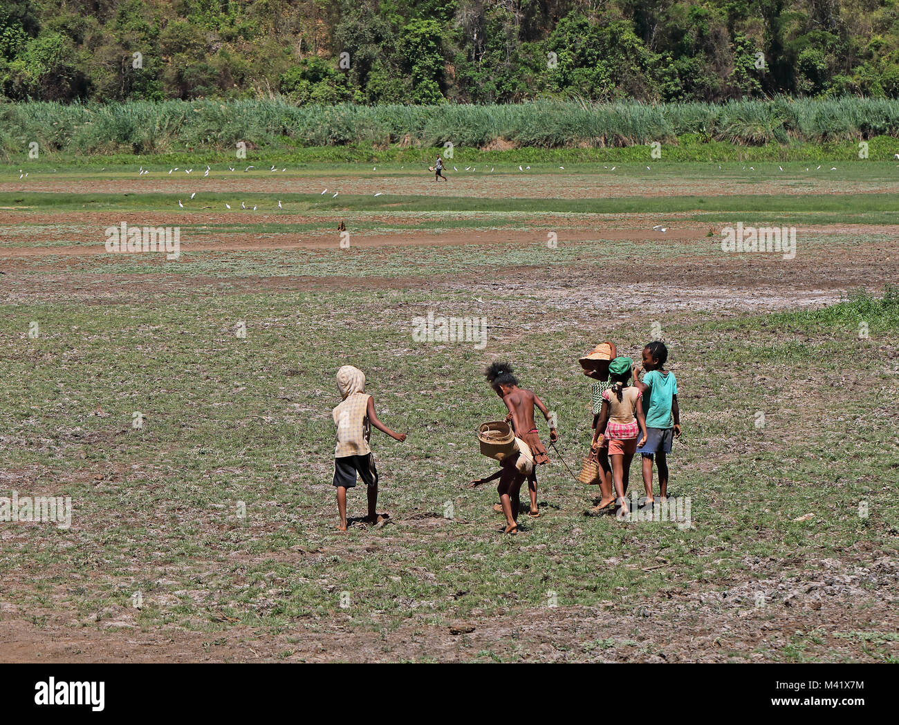 children foraging on dried up lake bed Lac Ravelobe, Ampijoroa Forest ...