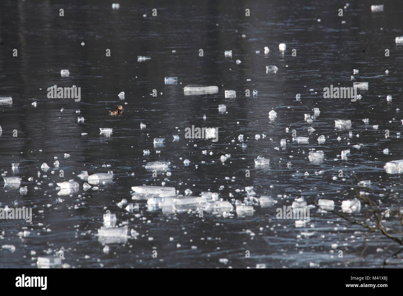 ice cover on an icebound lake Stock Photo - Alamy