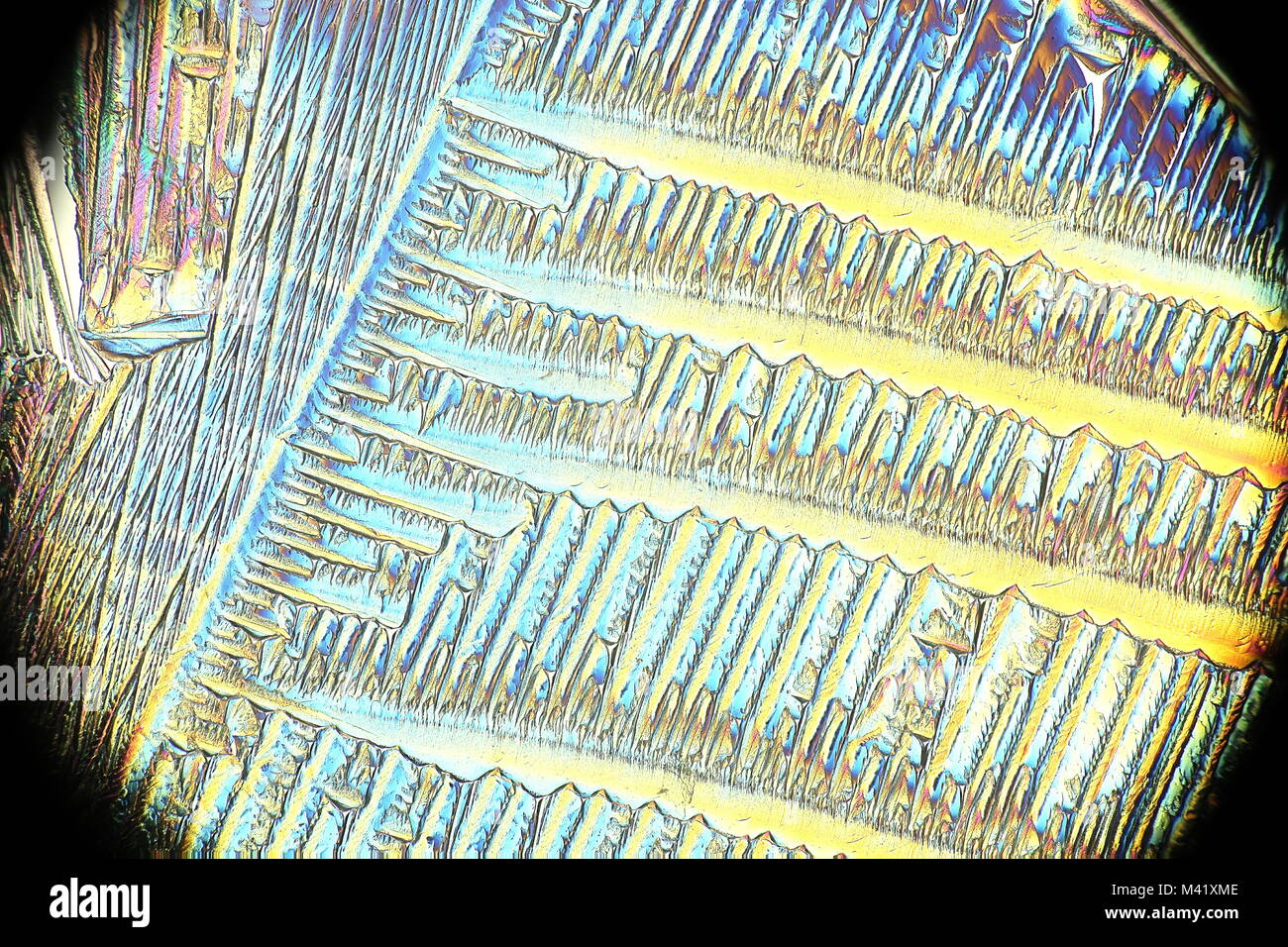 Paracetamol crystals, microscope image Stock Photo - Alamy