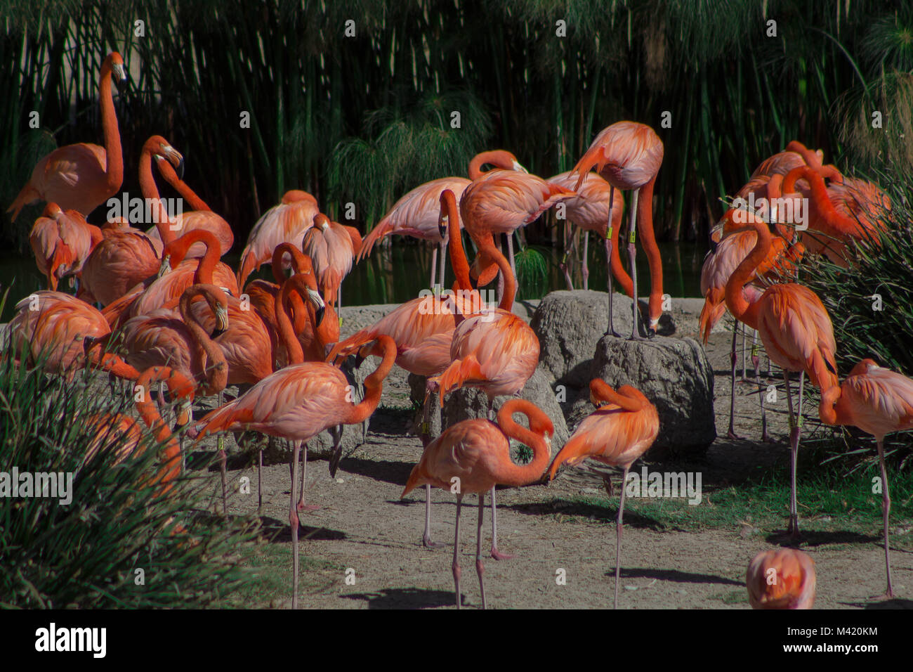 Colores contraste hi-res stock photography and images - Alamy