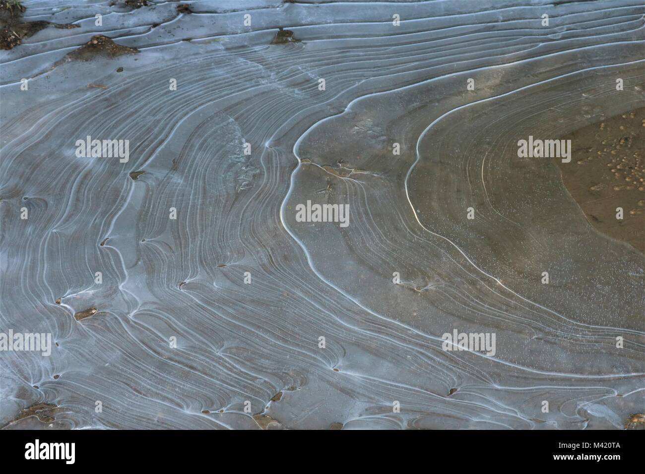 Frozen puddles in the countryside in winter Stock Photo - Alamy