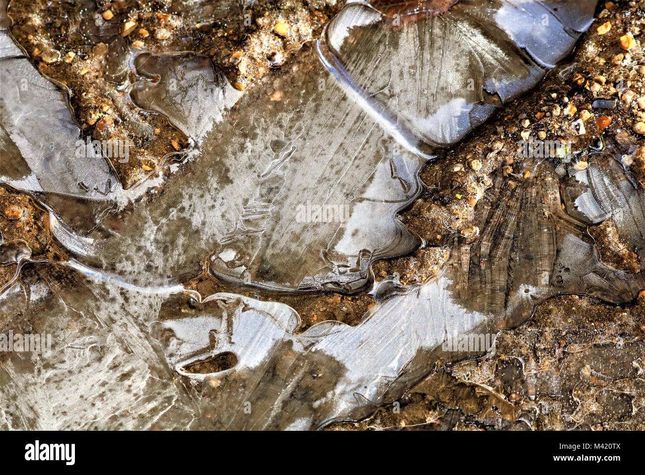 Frozen puddles in the countryside in winter Stock Photo - Alamy