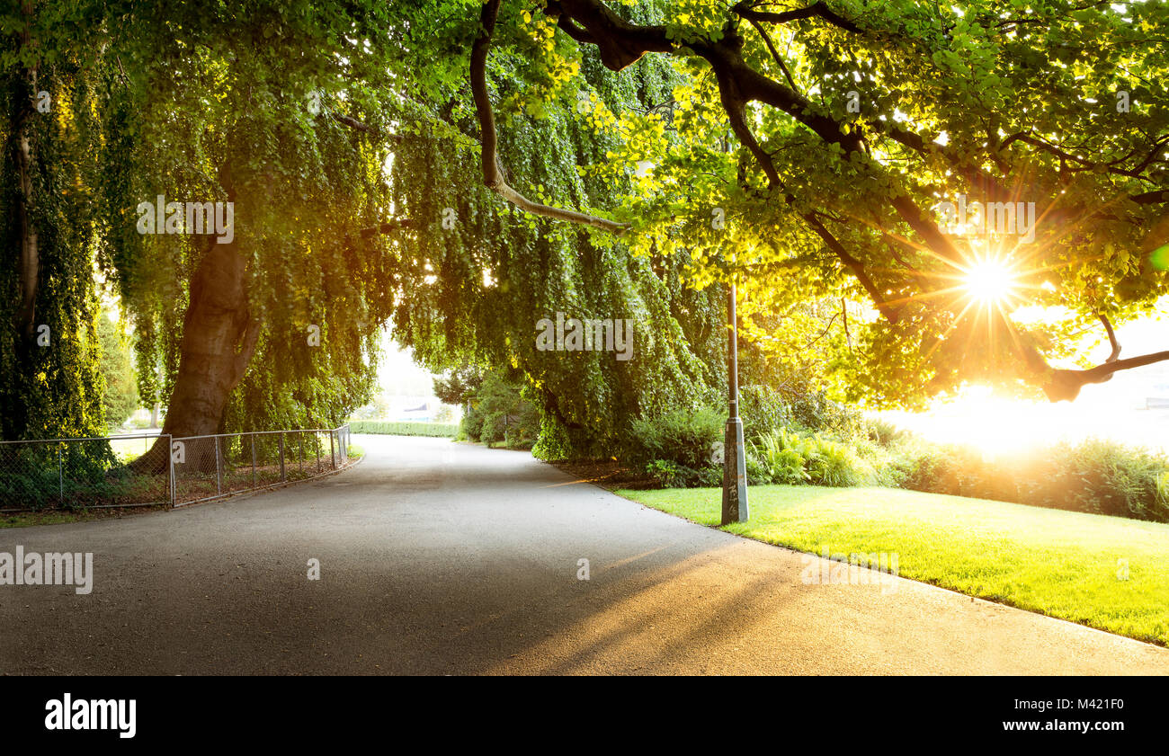 Promenade in a beautiful city park Stock Photo - Alamy