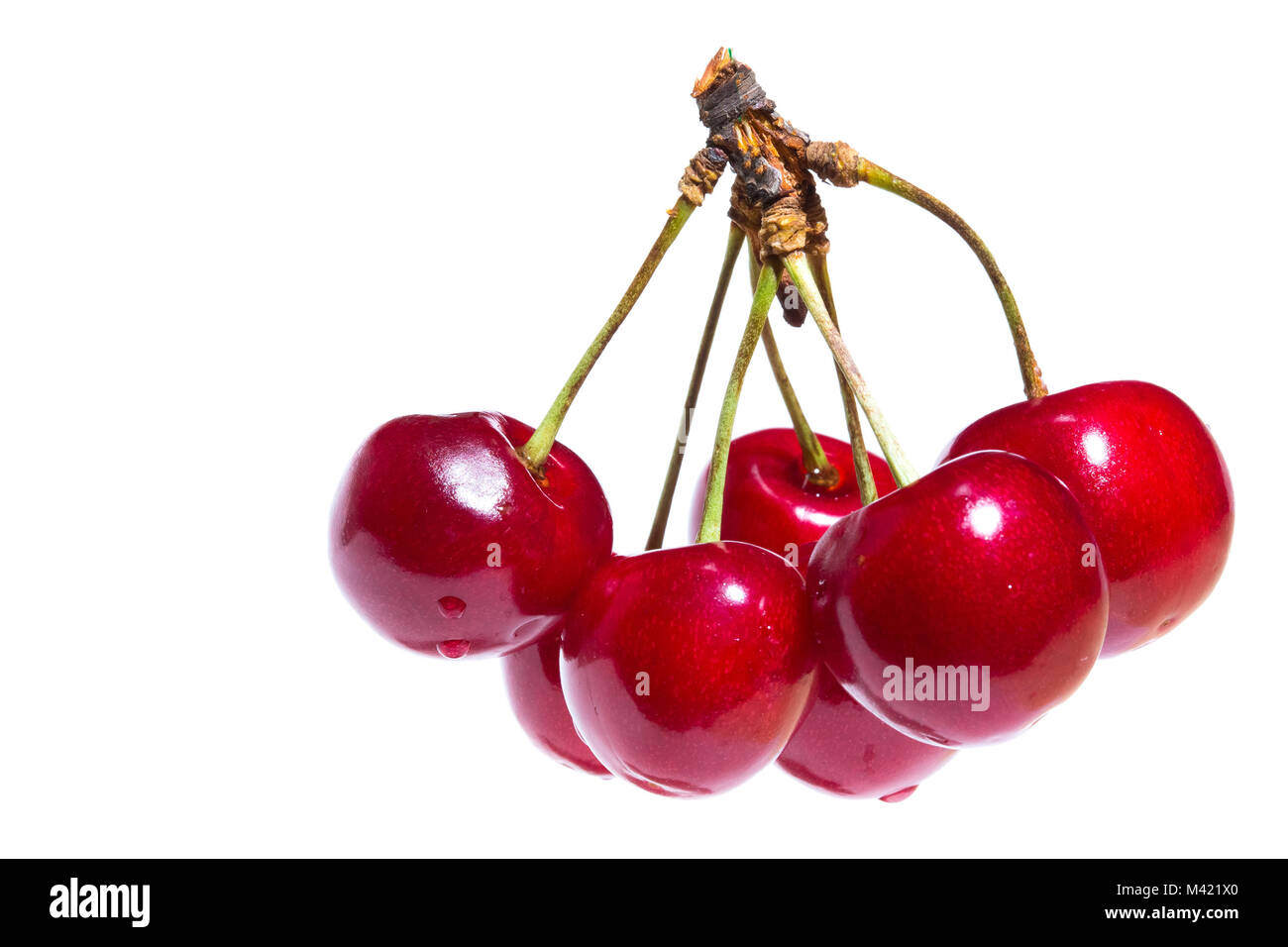 Seven organic sweet cherries isolated on a white background. Clo Stock ...