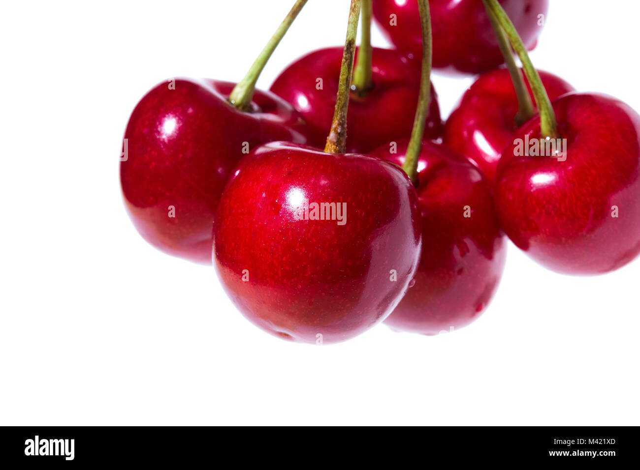 Seven organic sweet cherries isolated on a white background. Clo Stock ...