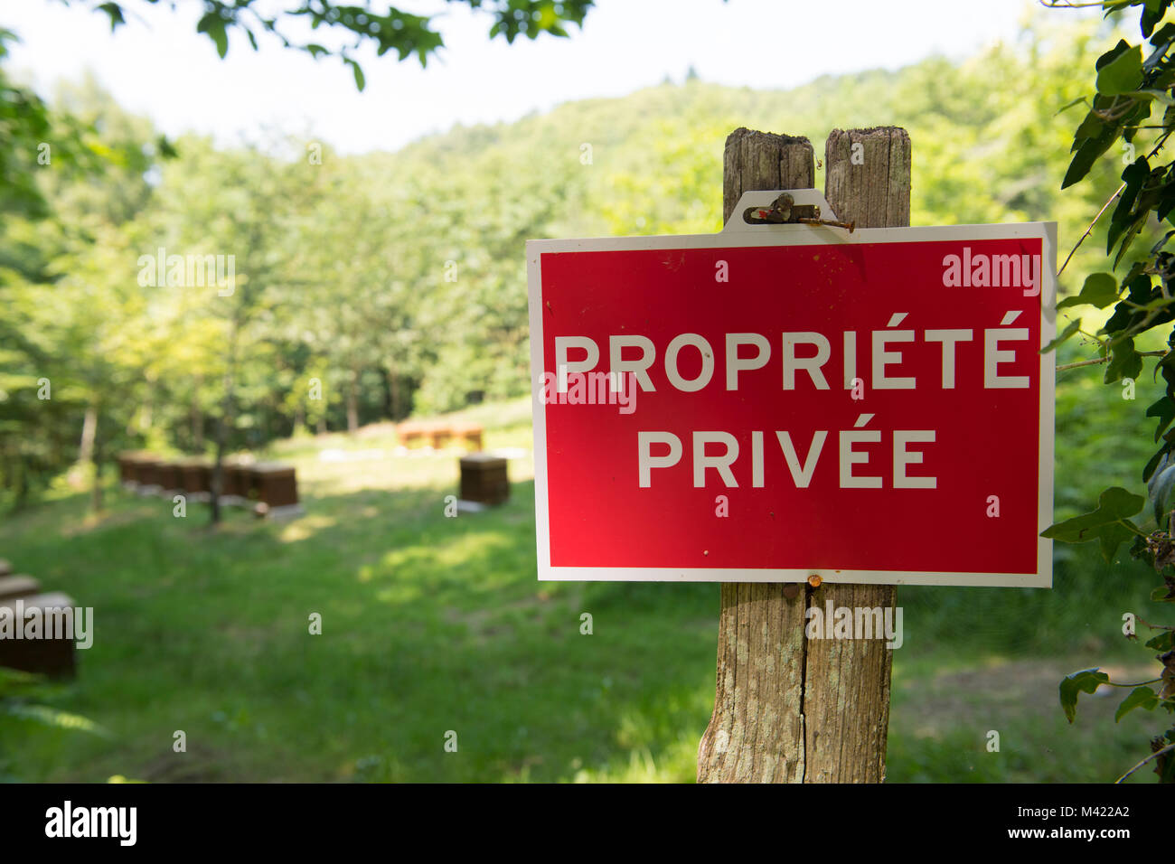 Propriete Privee in France on board in forest Stock Photo - Alamy