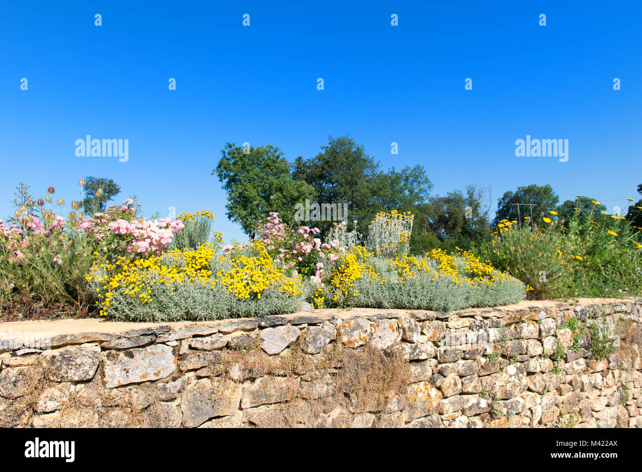 Detail of a very old stone wall with flowers Stock Photo - Alamy